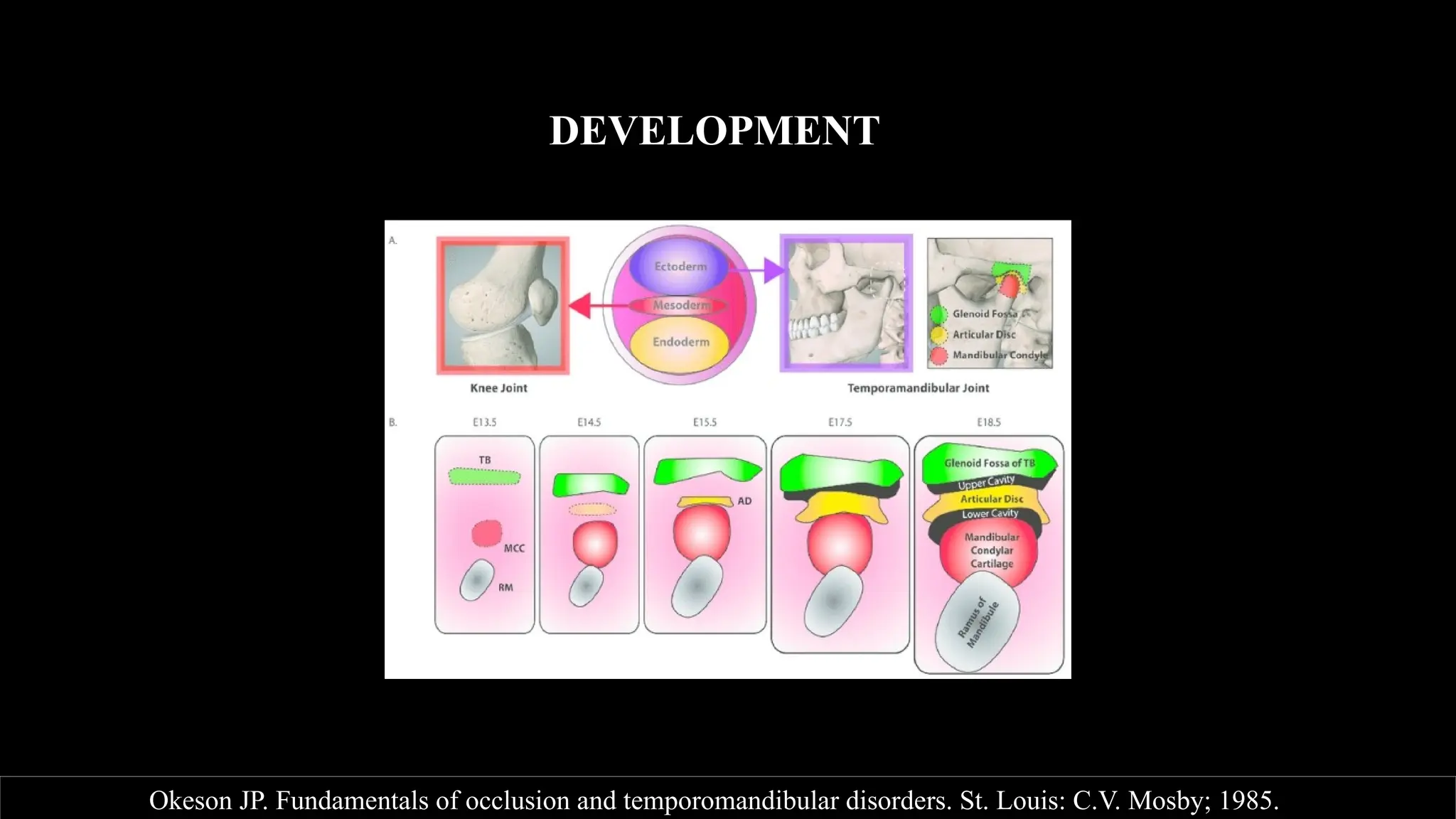 TEMPOROMANDIBULAR JOINT AND MANDIBULAR MOVEMENTS PPT.pptx