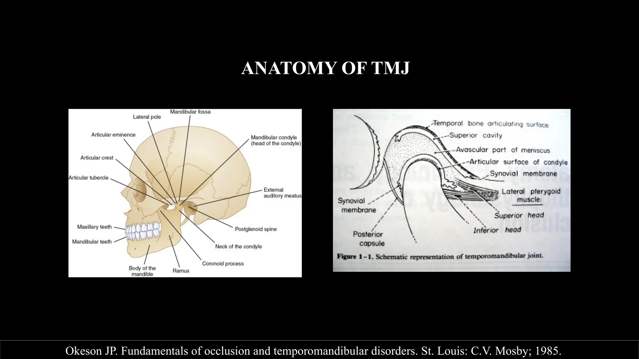 TEMPOROMANDIBULAR JOINT AND MANDIBULAR MOVEMENTS PPT.pptx