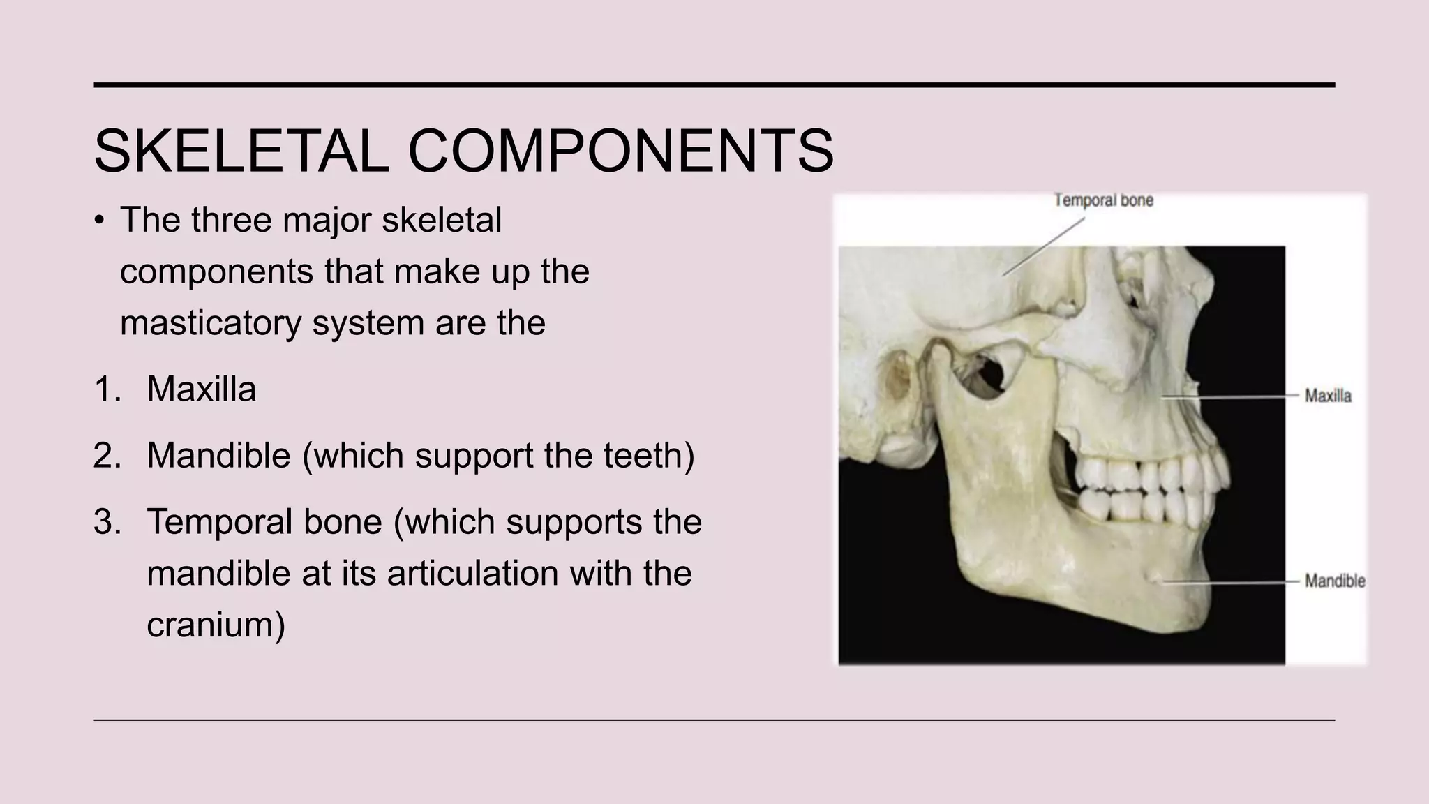 Temporomandibular joint [Autosaved].pptx