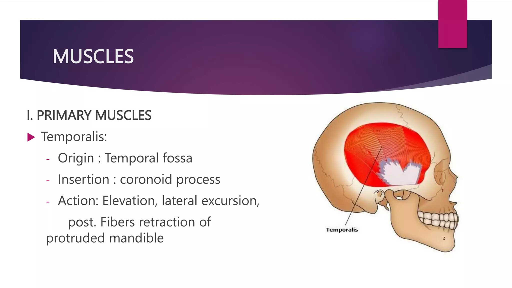 TEMPOROMANDIBULAR JOINT BIOMECHANICS.pptx