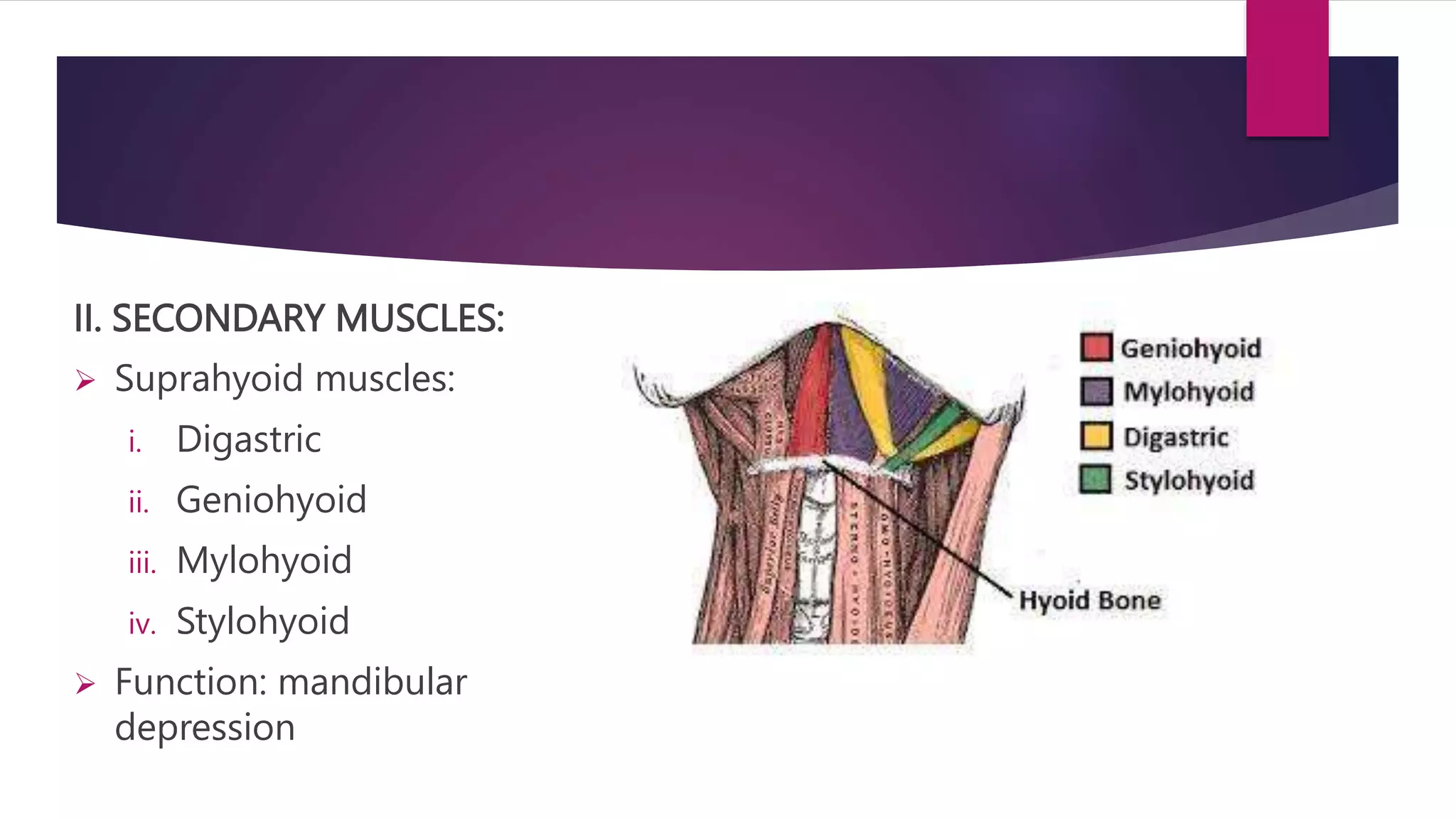 TEMPOROMANDIBULAR JOINT BIOMECHANICS.pptx