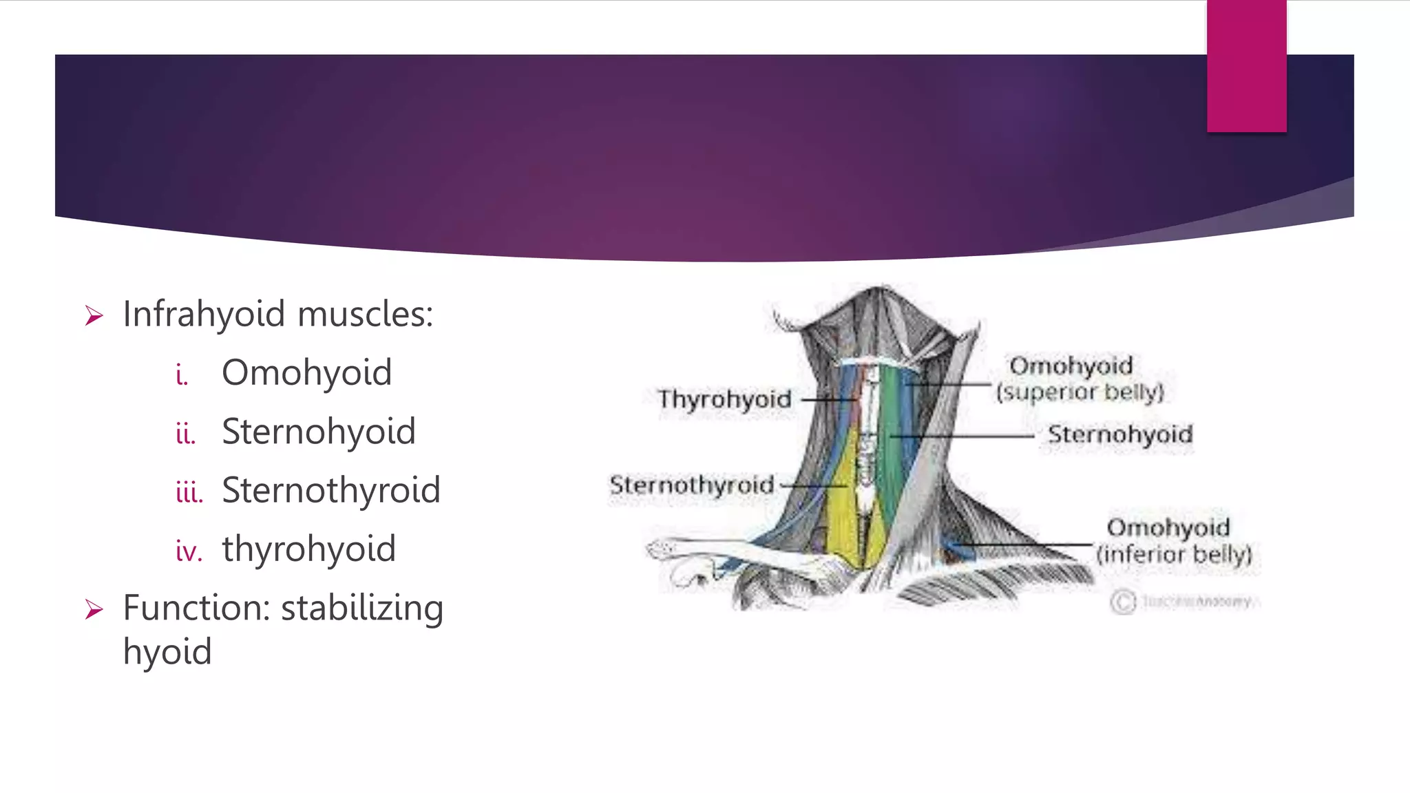 TEMPOROMANDIBULAR JOINT BIOMECHANICS.pptx
