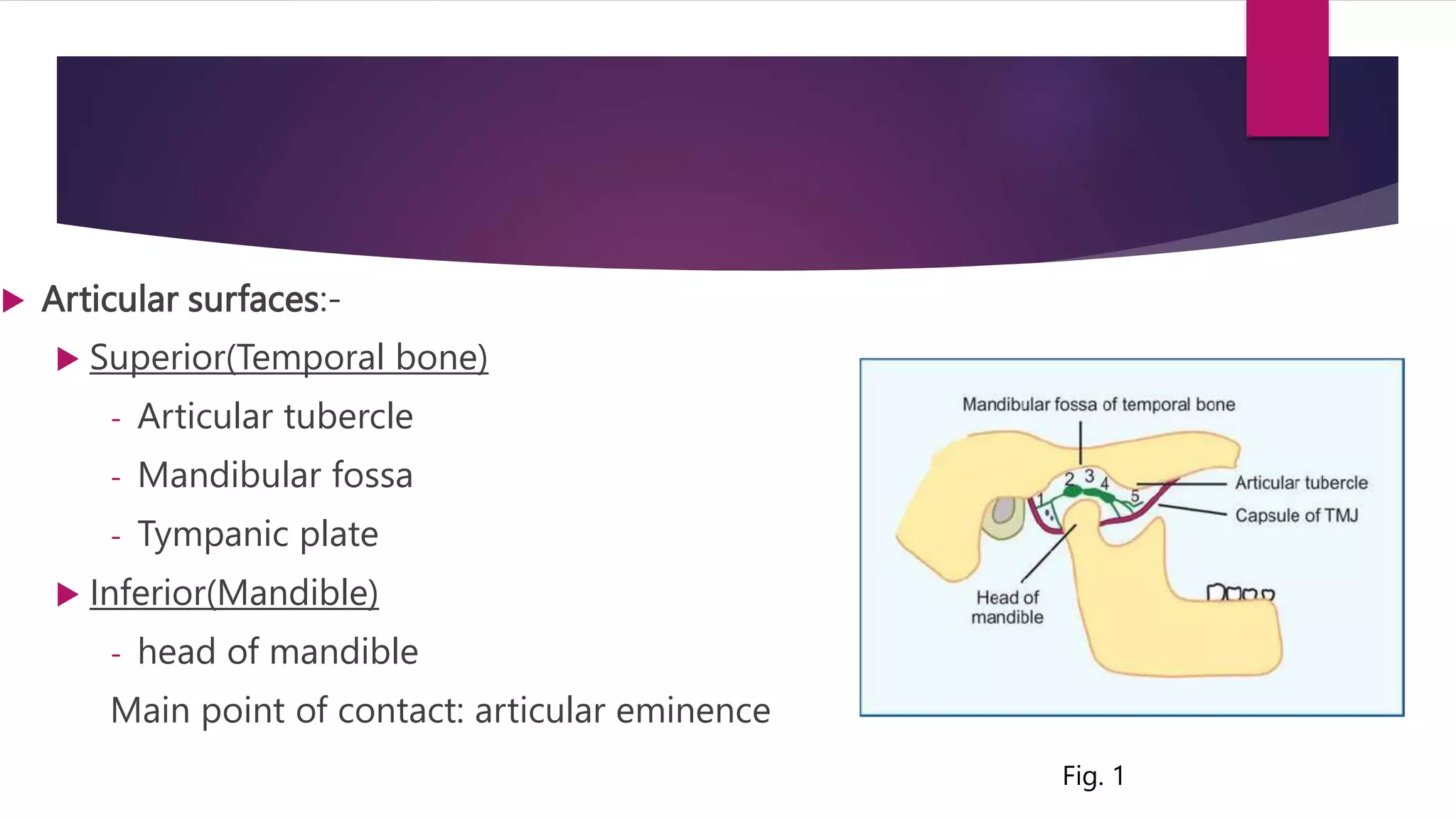 TEMPOROMANDIBULAR JOINT BIOMECHANICS.pptx