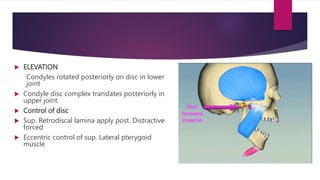 TEMPOROMANDIBULAR JOINT BIOMECHANICS.pptx