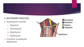 TEMPOROMANDIBULAR JOINT BIOMECHANICS.pptx