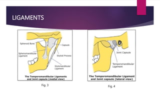 TEMPOROMANDIBULAR JOINT BIOMECHANICS.pptx