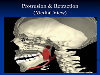 Temporomandibular joint disorders I | PDF