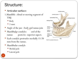 Temporomandibular Joint presentation.pptx