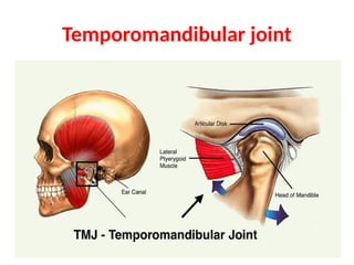 Temporomandibuligjcfggktitiar Joints.pptx