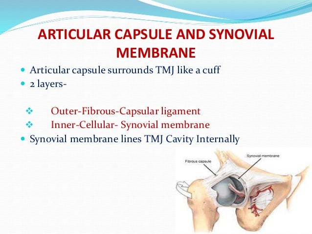Temporomandibular joints 20 sept '13