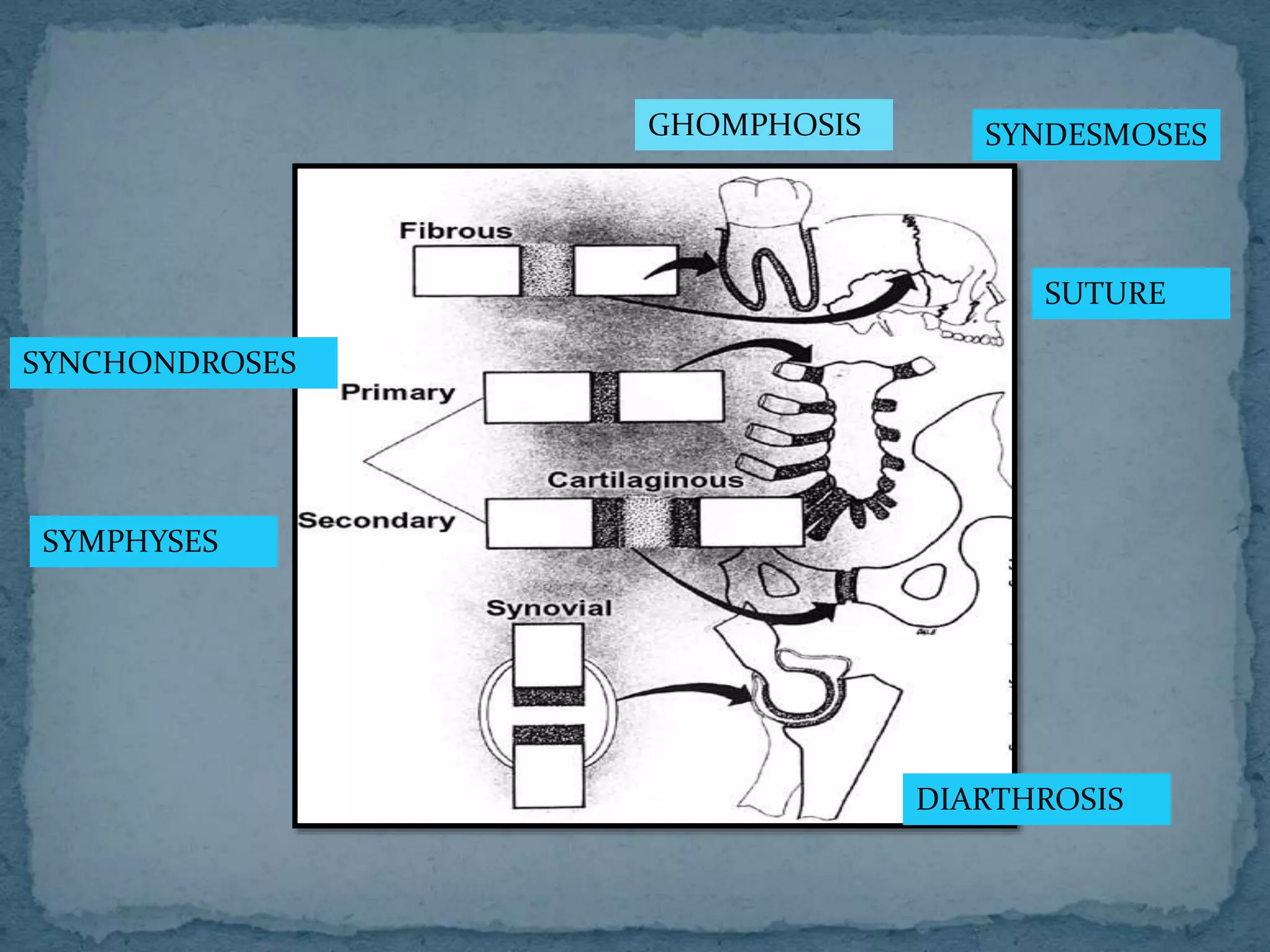 Temporomandibular joint seminar | PPTX