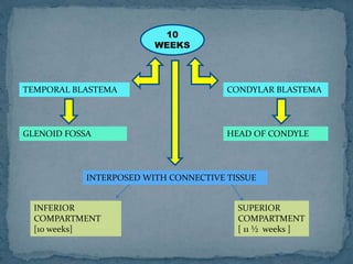 Temporomandibular joint seminar | PPTX
