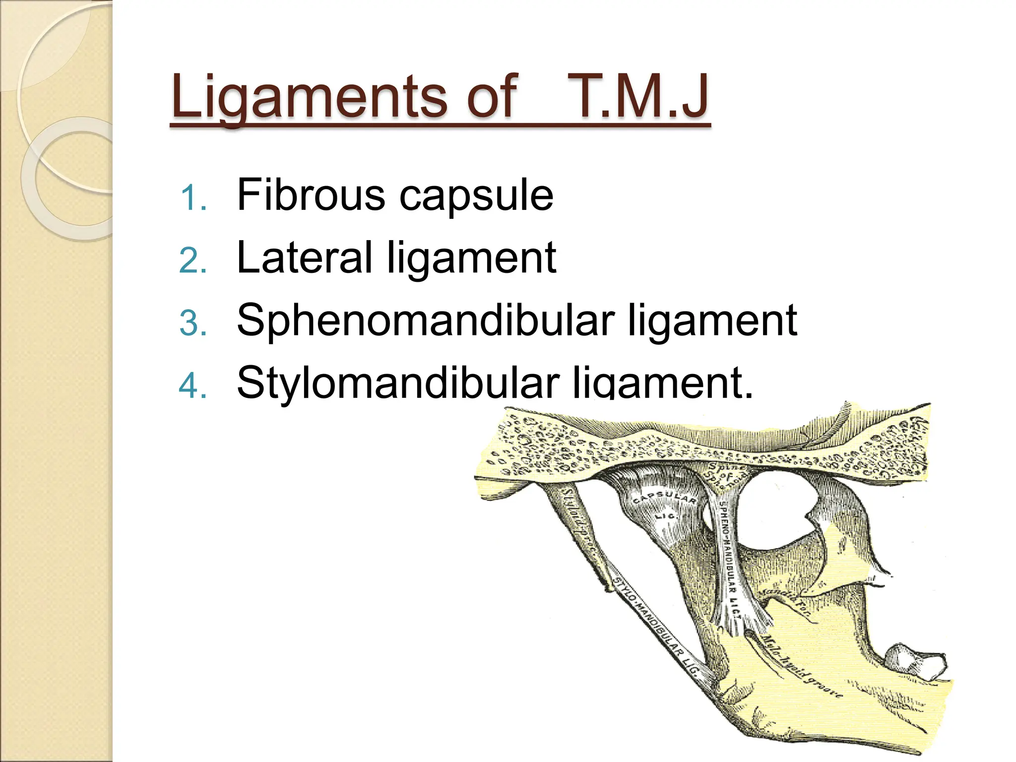 Temporomandibular joint & disorders seminar.ppt