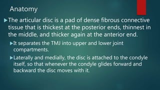 Temporomandibular Joint (TMJ) | PPTX