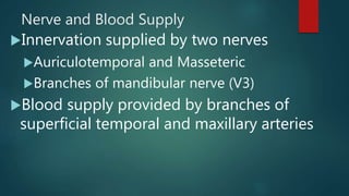 Temporomandibular Joint (TMJ) | PPTX