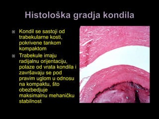 Temporomandibularni zglob | PPTX