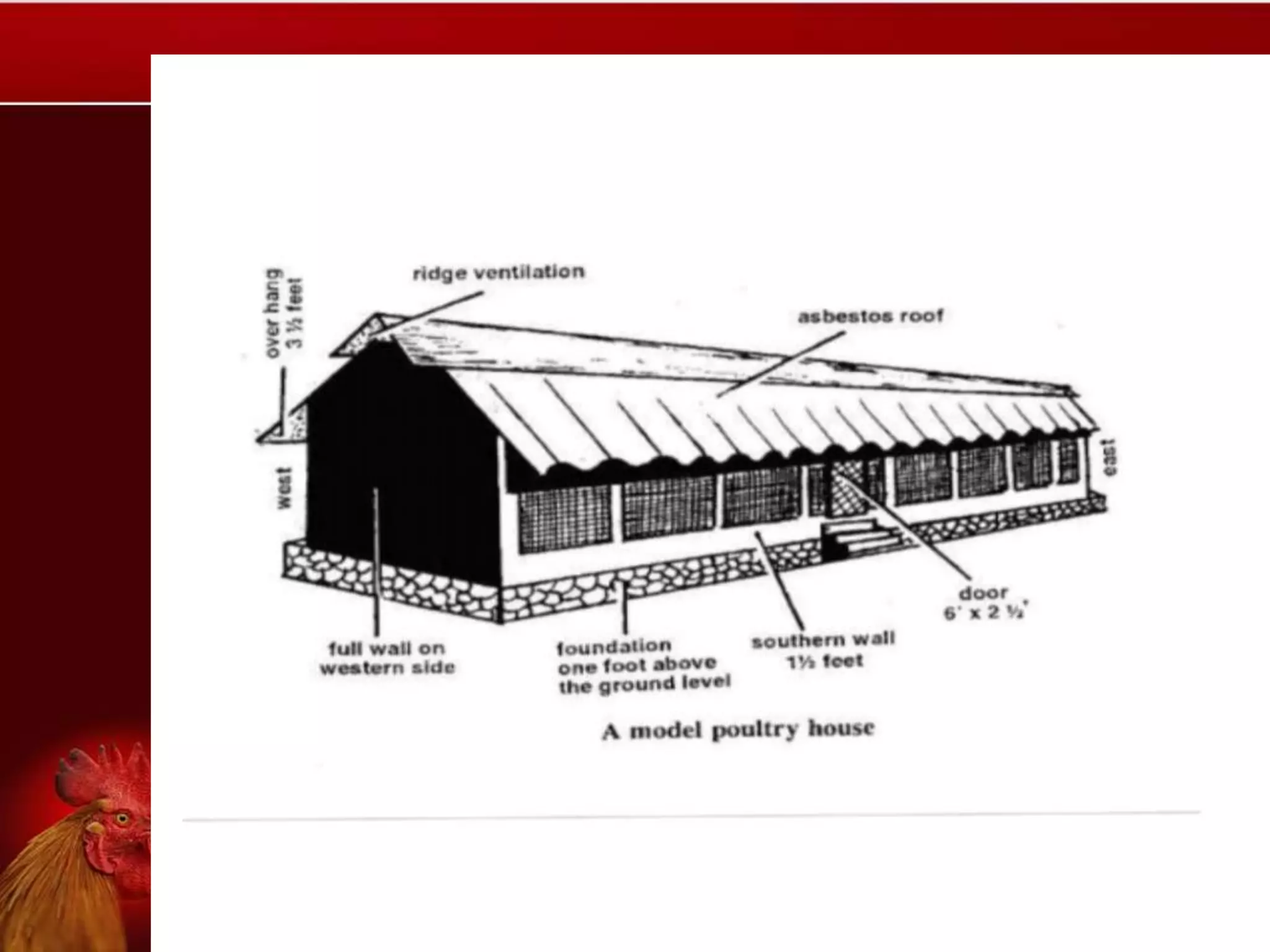 Poultry housing | PPTX