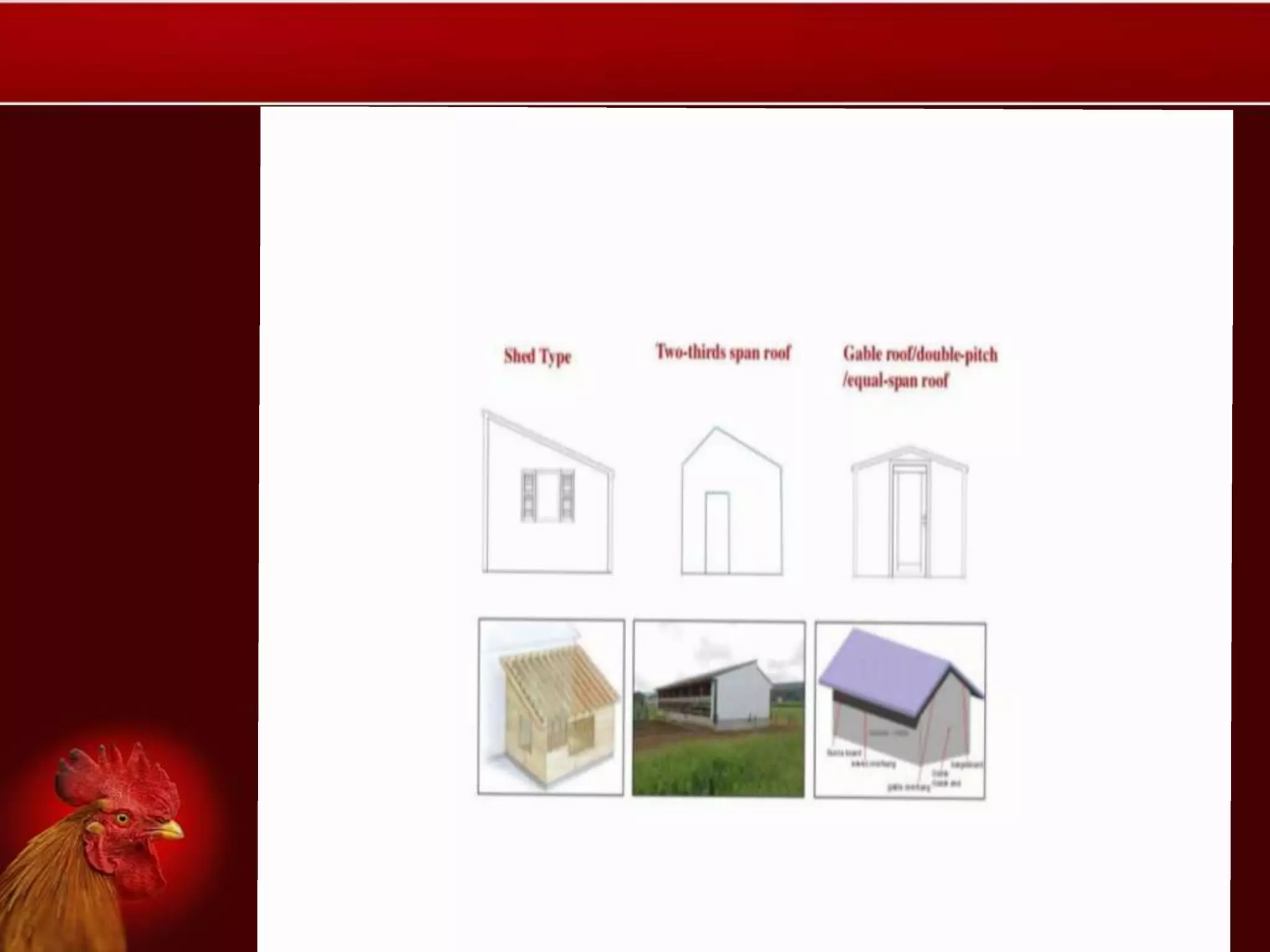 Poultry housing | PPTX