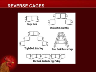 Poultry housing | PPTX