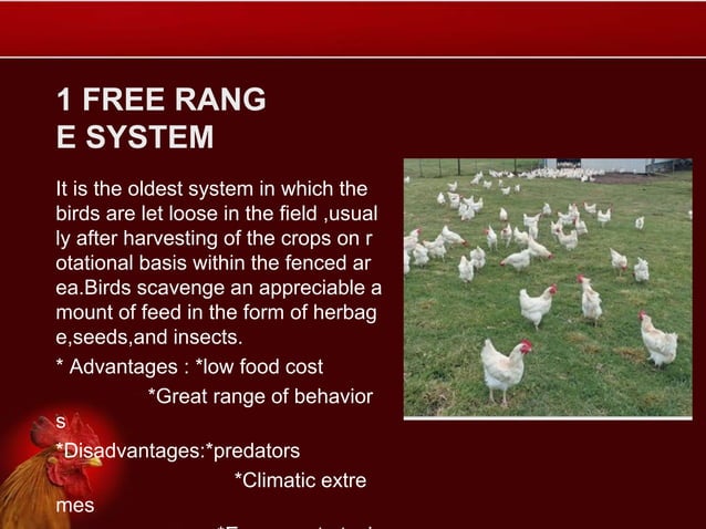 Poultry housing | PPTX