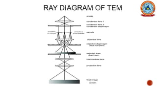 Tem ppt | PPTX | Chemistry | Science