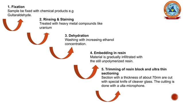 Tem ppt | PPTX | Chemistry | Science