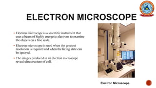 Tem ppt | PPTX | Chemistry | Science