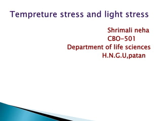 Tempreture stress & light stress | PPTX