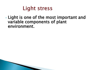 Tempreture stress & light stress | PPTX