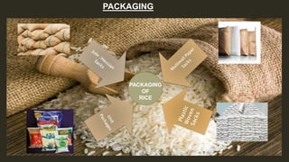 RICE PROCESSING TECHNOLOGY | PPTX