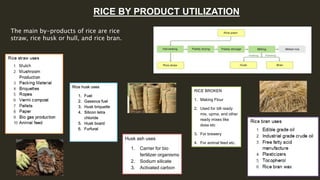RICE PROCESSING TECHNOLOGY | PPTX