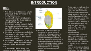 RICE PROCESSING TECHNOLOGY | PPTX