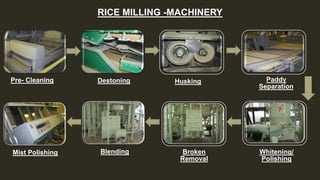 RICE PROCESSING TECHNOLOGY | PPTX