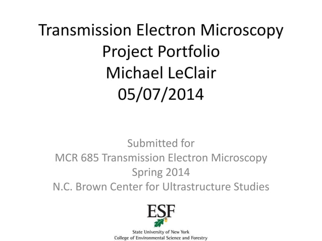 Tem project portfolio | PPT