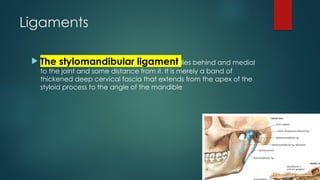 Tempromandibubxnnxxnxxddndndlar Joint.pptx