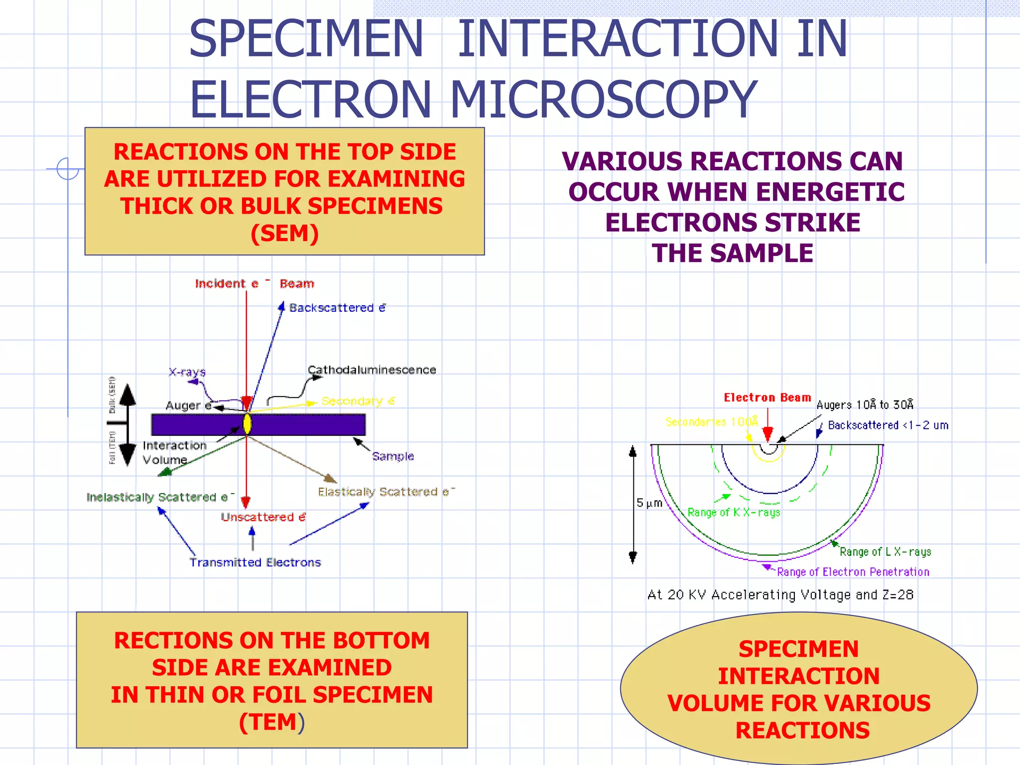 Transmission Electron Microscope | PPT