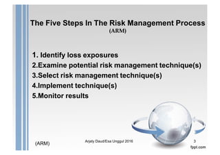TEMU-2-DAN-3-Risk-Management-Process-and-Enterprise-Risk-Management-ERM ...