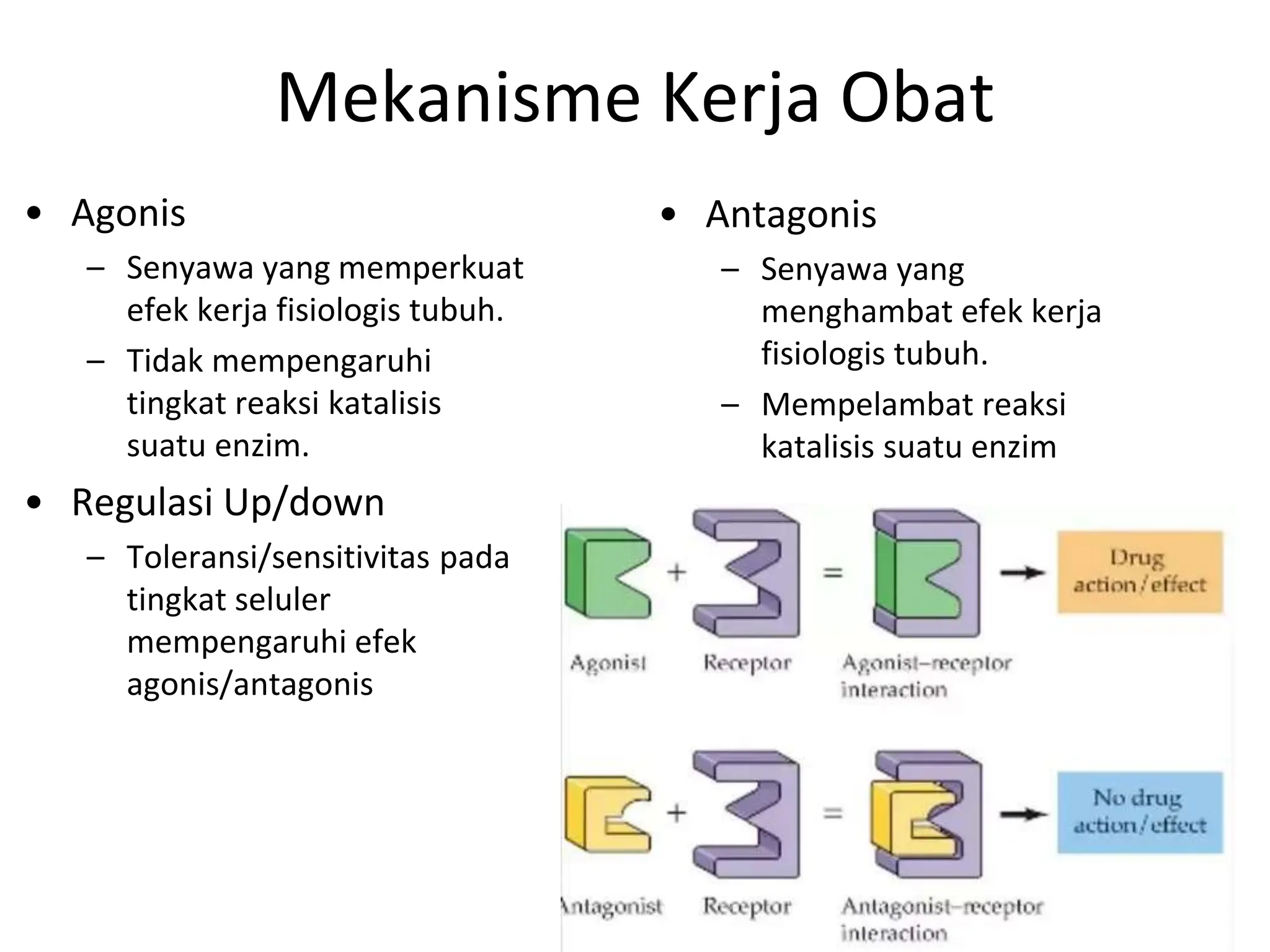 Temu 2 ; Farmakokinetika dan Farmakodinamika | PPT