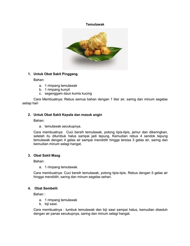 Temulawak | PDF