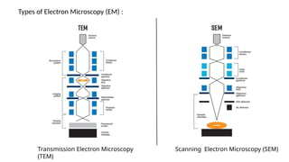 DIFFERENT TYPES OF - ELECTRON MICROSCOPY | PPTX