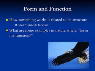 Ten-Bio-Themes.ppt