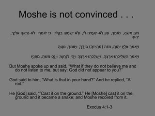 Ten Makot, Makot Ten | PPT