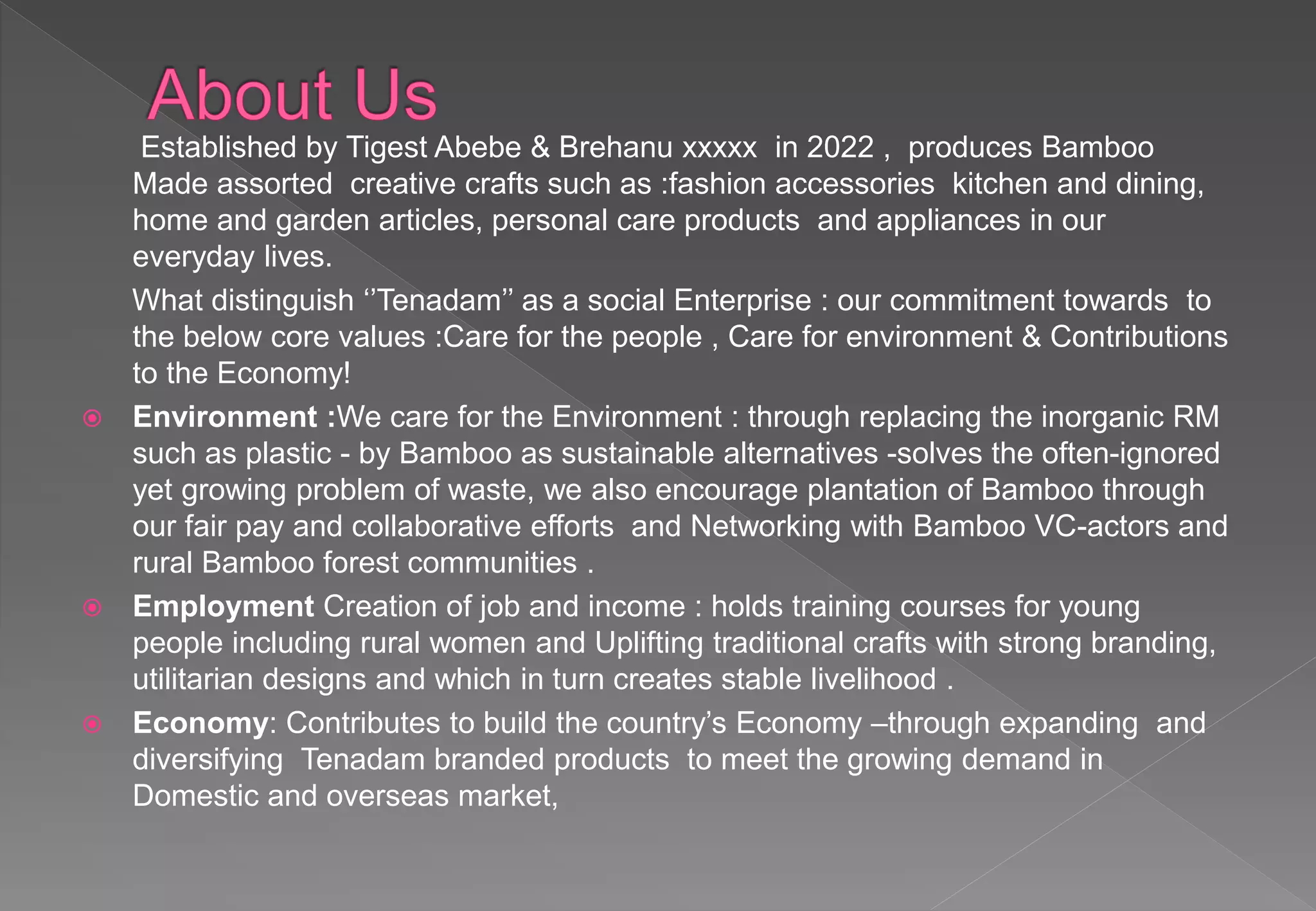 TENADAM MANUFUCTURING PLC.pptx