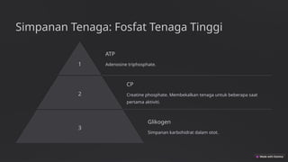 Tenaga-Untuk-Senaman-Bioenergetik-dan-Metabolisma-Otot.pptx