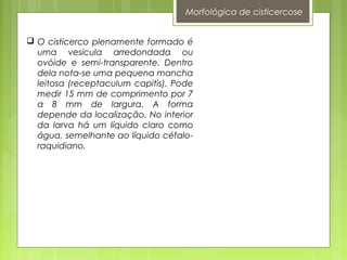 Teníase x cisticercose | PPT