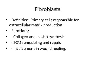 TenCate_Oral_Histology_Presentation.pptx