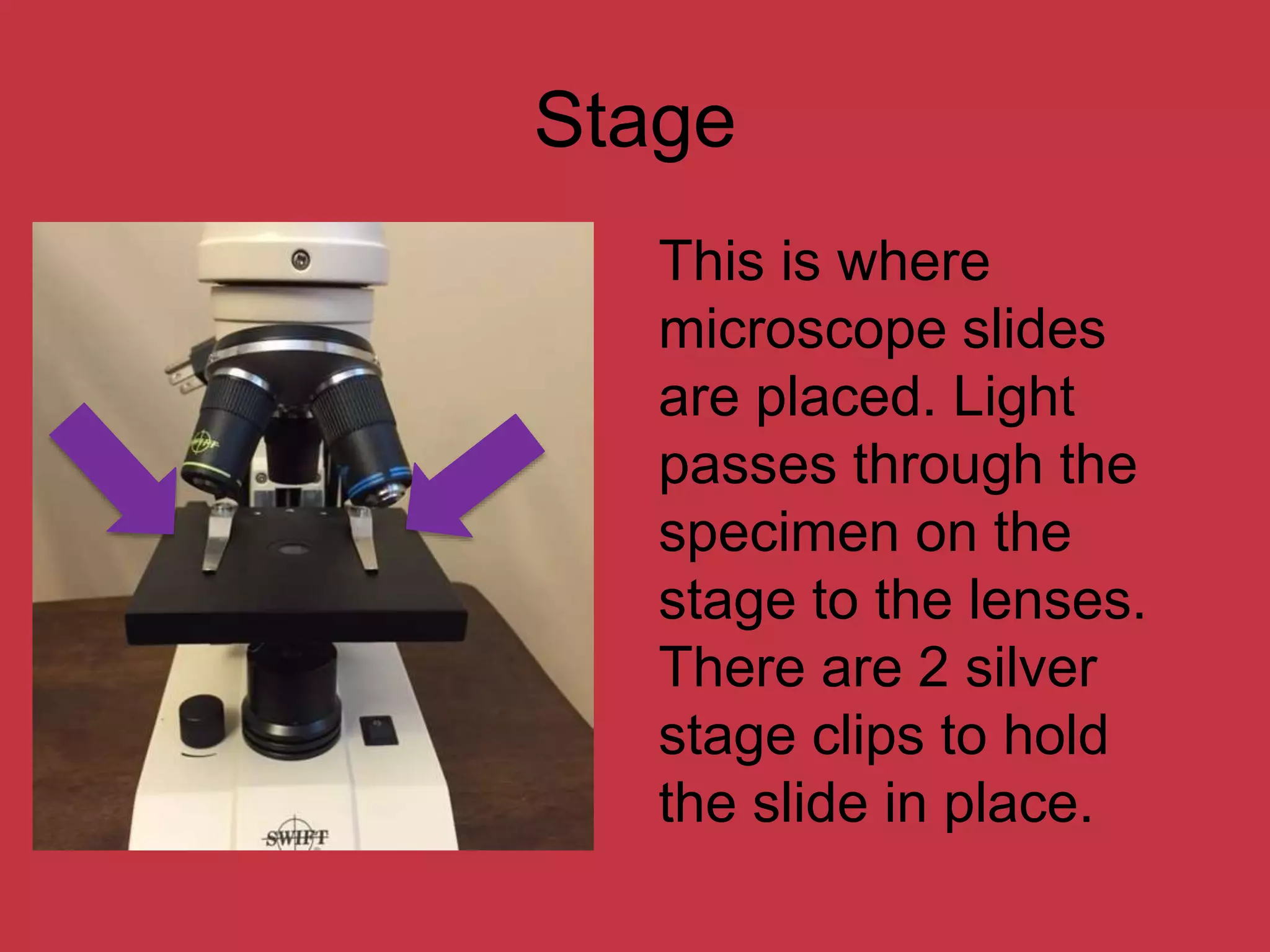 Microscope Parts 101 | PPTX