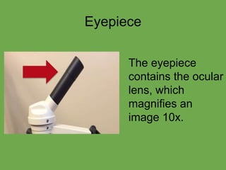 Microscope Parts 101 | PPTX