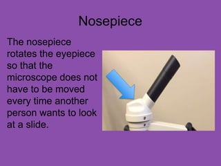 Microscope Parts 101 | PPT