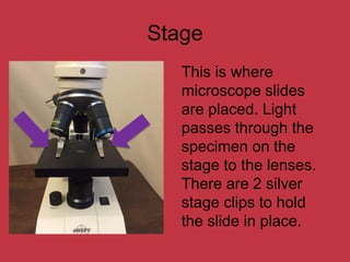 Microscope Parts 101 | PPTX
